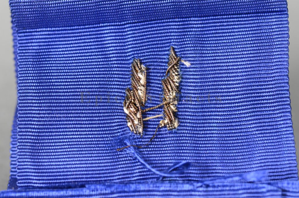 Original German WWII 12 Year SS Long Service Award Cased - Epic Artifacts