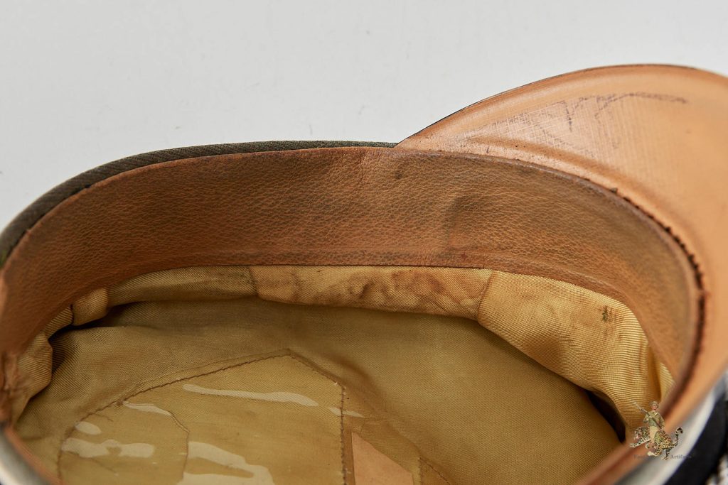 Waffen SS Officers Visor - Epic Artifacts - German WW2