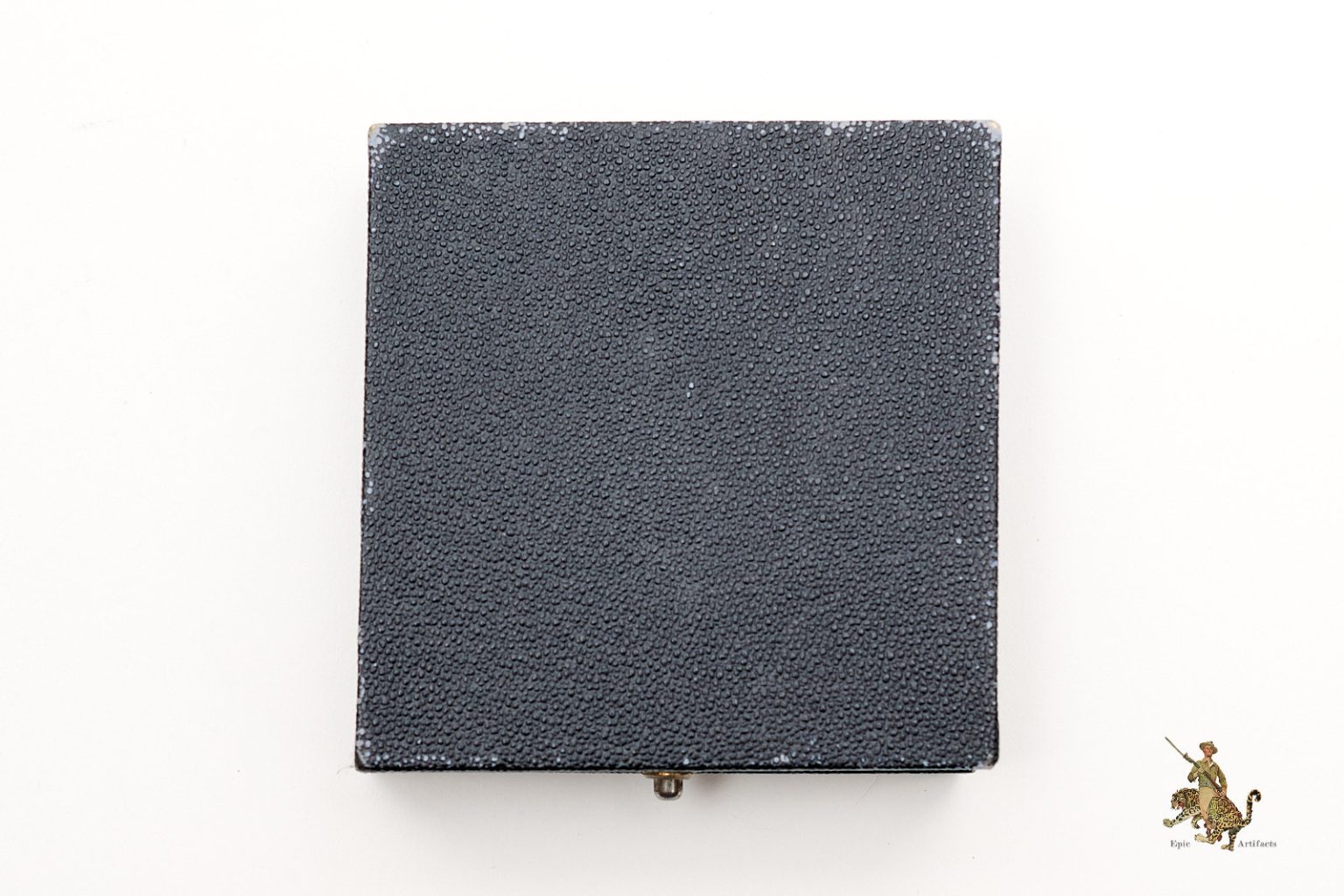 Cased Deumer Pilot Badge - True Deumer - Epic Artifacts