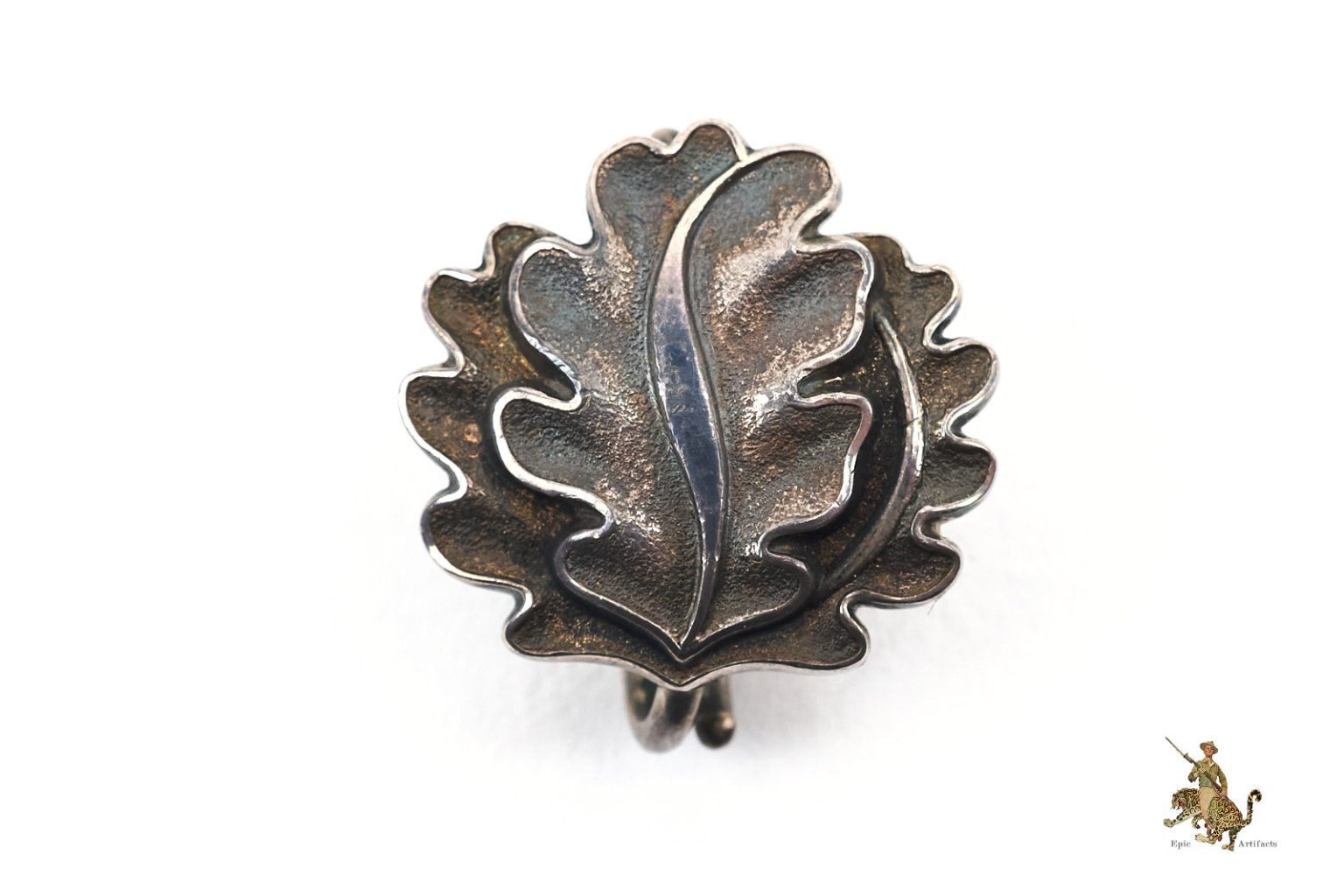 Cased Oak Leaves to the Knight's Cross - 21 - Epic Artifacts