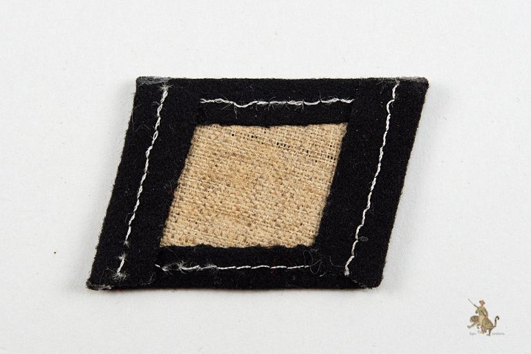 22nd SS Maria Theresa Volunteer Calvary Collar Tab - Epic Artifacts