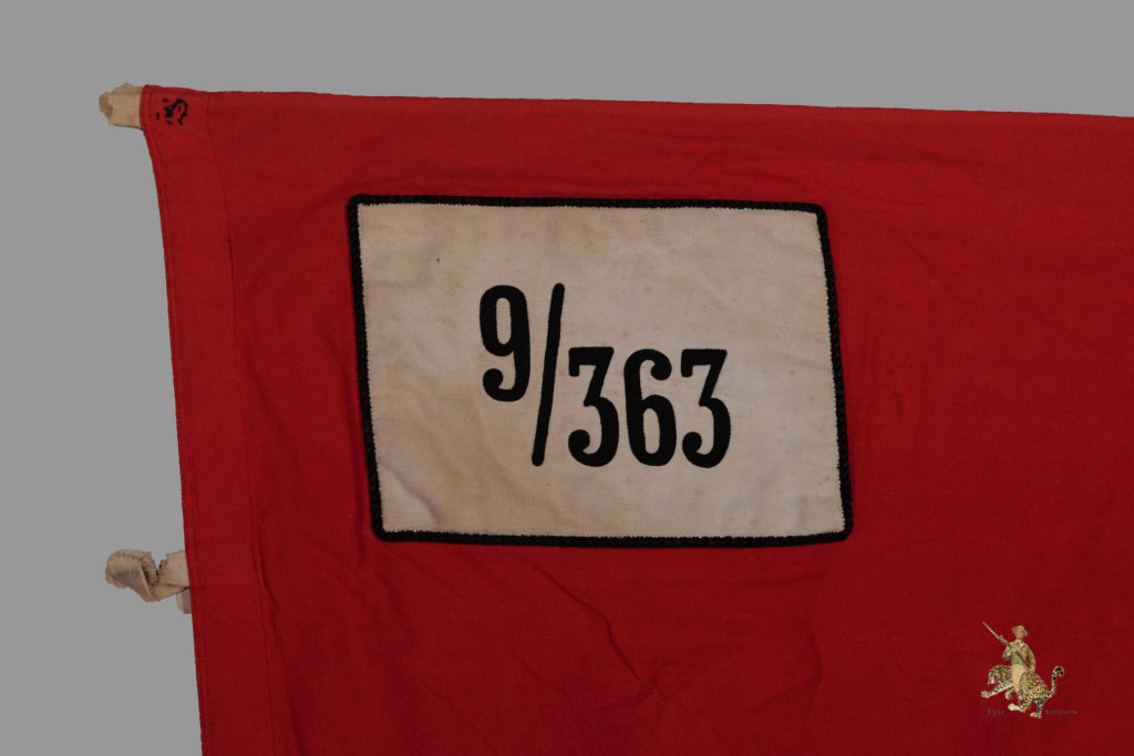 Hitler Youth Parade Flag - Original German WWII -Epic Artifacts